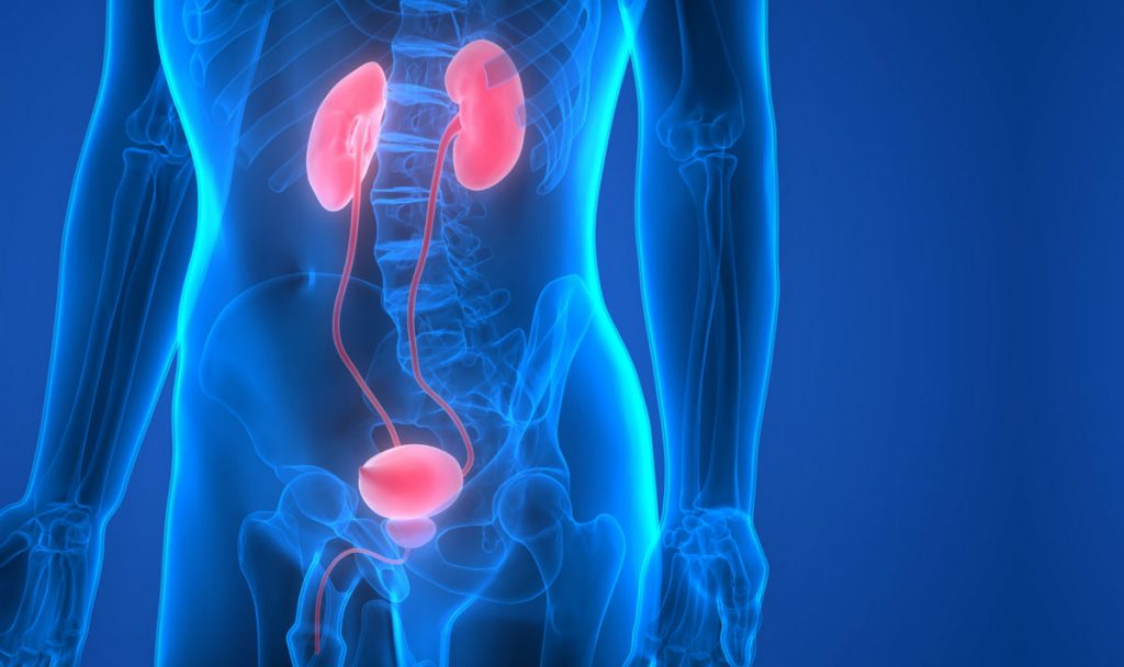 Urologische Praxis in Brandenburg abzugeben! – Kadas & Kollegen